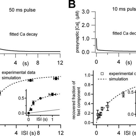 Model Simulation Of Recovery Time Courses For Two Different Protocols Download Scientific
