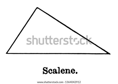 Image Showing Scalene Triangle These Triangles Stock Vector Royalty Free 1364042912 Shutterstock