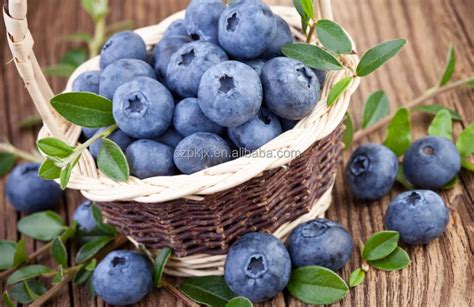 Fruit Seed Separator Mango Pulping Pulp Juicer Extractor Machine Tomato