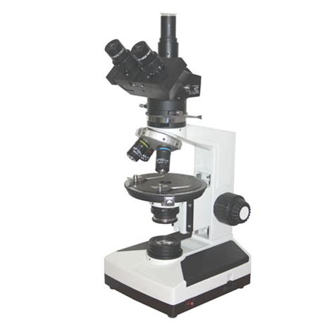Research Polarising Microscope Application Geology At Best Price In Ambala Cantt Radical