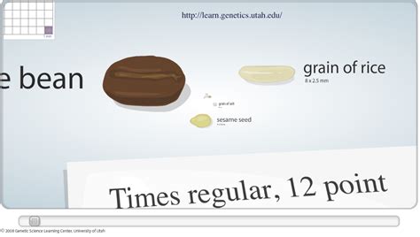 Avadian S Musings Fascinating Graphic Of Cell Size
