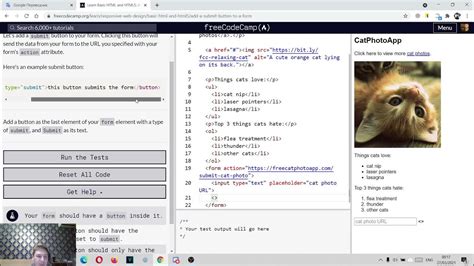 Изучаем Html на Freecodecamp Урок 17 Add A Submit Button To A Form Youtube