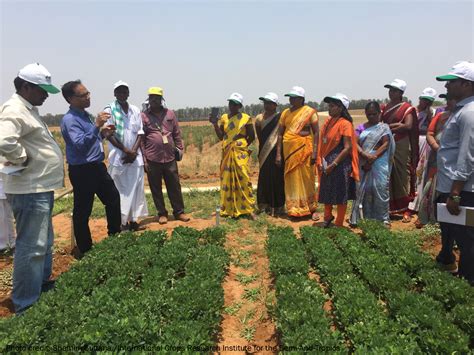 Seeding Entrepreneurship In Groundnut Farmers Of South India