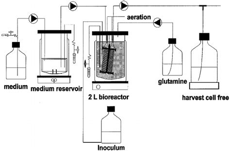 Setup Of A 2 L Perfusion Bioreactor Biostat Bf 2 B Braun Biotech