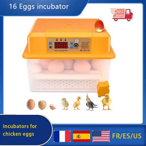 닭용 자동 부화기 가금류 가정용 장비 계란 부화기 16 개 Aliexpress