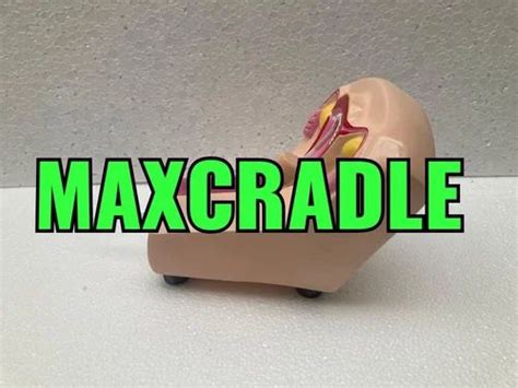 Iud Training Model At ₹ 1000piece Human Anatomical Models In Ambala