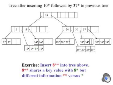 B Trees Basics Insertion YouTube