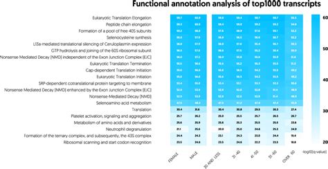 Functional Annotation Analysis Of Top Expressed Spliced Genes Among The