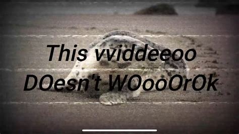 This Video Doesnt Work Youtube