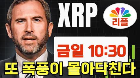 리플 Xrp 긴급 속보 금일 밤 1030 또 폭풍이 몰아닥친다 Youtube