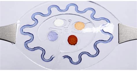 Digital Health Company Wont Sweat Supply Chain Bottlenecks