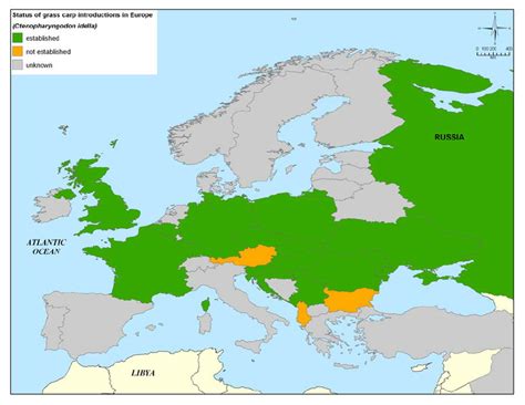 Global Distribution Of Grass Carp Download Scientific Diagram