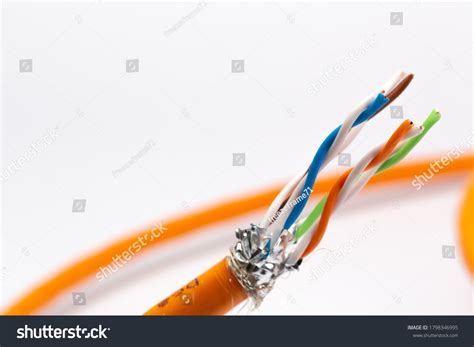 Stripped Ethernet Cable Twisted Wires White Stock Photo 1798346995 Shutterstock