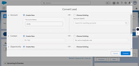 Lead Conversion In Salesforce Everything You May Want To Know Arrify