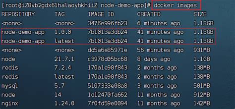 nodejs npm 基于Docker创建Nodejs前端应用 千千寰宇 博客园