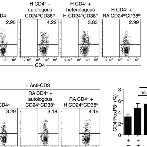 The Frequency Of Cd19 Cd24 Hi Cd38 Hi B Cells From Ra Patients