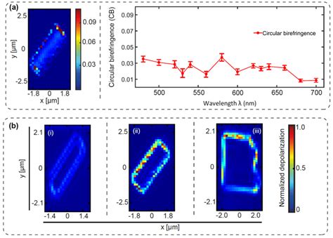 15 A Circular Birefringence Observed In Carbon Flakes A 2d Raster Download Scientific