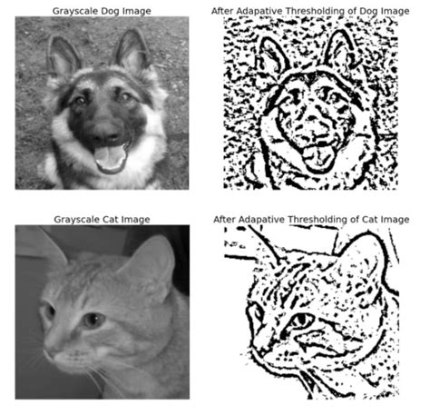 Do Custom Opencv Solutions Image Processing Object Detection Ocr
