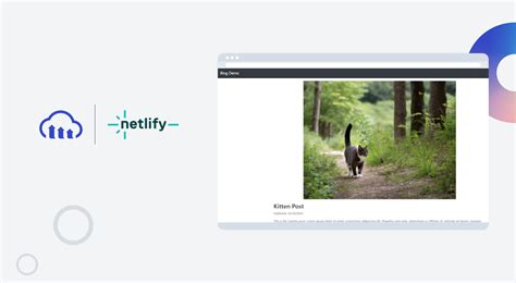 Cloudinary And Netlify Integration Optimize Your Images