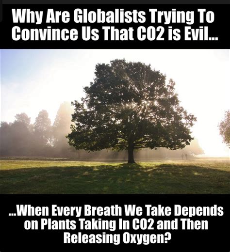 Globalists CO2 Is Evil Every Breath Requires Plants CO2 Into Oxygen
