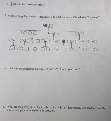 Solved 14 Lab 1 2 Sex Linked Inheritance 2 Examine The Chegg Com