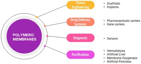 Polymeric Membranes For Biomedical Applications