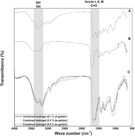 Figure 2 From Design Of A Polyacrylamide And Gelatin Hydrogel As A Synthetic Extracellular