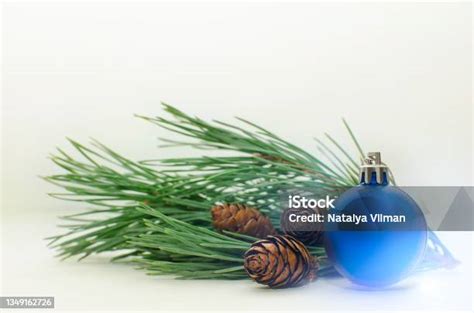 흰색 배경에 장식크리스마스 트리의 가지 텍스트 복사 공간을 위한 공간입니다 0명에 대한 스톡 사진 및 기타 이미지 0명 12월 개념 Istock