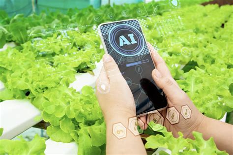 ai dalam bidang pertanian meningkatkan efisiensi dan produktivitas
