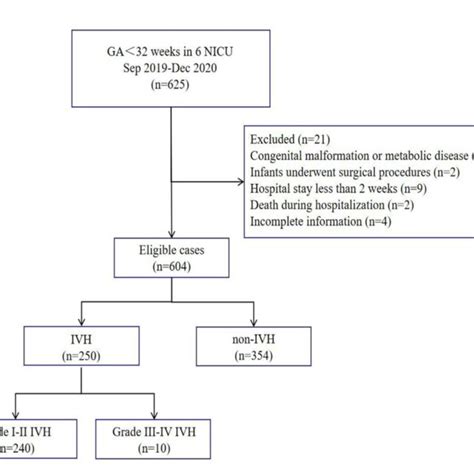Figure E Flow Chart Of Participant Selection And Categorization In The Download Scientific