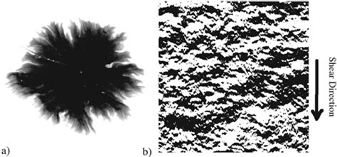 Example Of The Relation Between Flow Anisotropy And Aperture Field In A Download Scientific
