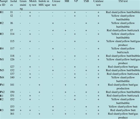 Bacterial Colony Forming Unit CFU Of Different Samples Download Scientific Diagram