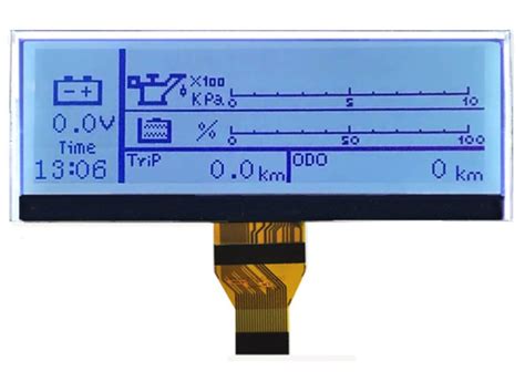Cog Lcd Display Custom Display Solution Provider