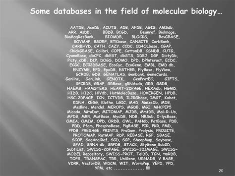 Role Of Bioinformatics In Life Sciences Research Ppt Databases