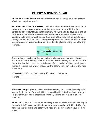 Osmosis In Celery Experiment Teaching Resources