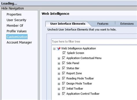 Sap Bibo Customize Webi Application For User Group In Cmc