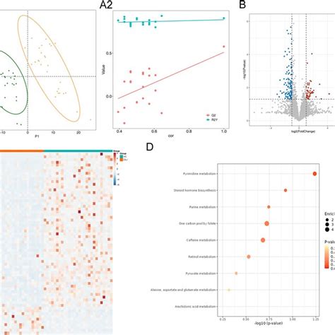 Analysis Of The Differentially Metabolites A The PLS DA Model A Download Scientific