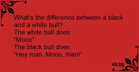 Whats The Difference Between A Black And A White Bull The White Bull Does Mooo The Black