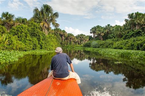Man Sitting On Prow Of A Dugout Canoe On License Image 71492306