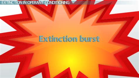 Extinction In Psychology Definition Factors And Examples Lesson