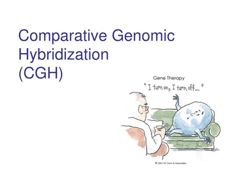Ppt Comparative Genomic Hybridization Cgh Powerpoint Presentation Free Download Id1235320