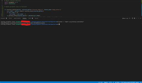 Correct Python Environment In Terminal No Longer Loads · Issue 21943