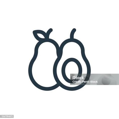 흰색 배경에 격리 된 아보카도 벡터 아이콘 개요 웹 사이트 디자인 및 모바일 응용 프로그램 개발을위한 얇은 라인 아보카도 아이콘 얇은 선 아보카도 윤곽선 아이콘 벡터