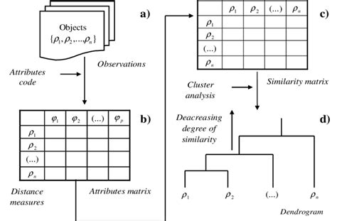 Steps In Numerical Taxonomy Download Scientific Diagram