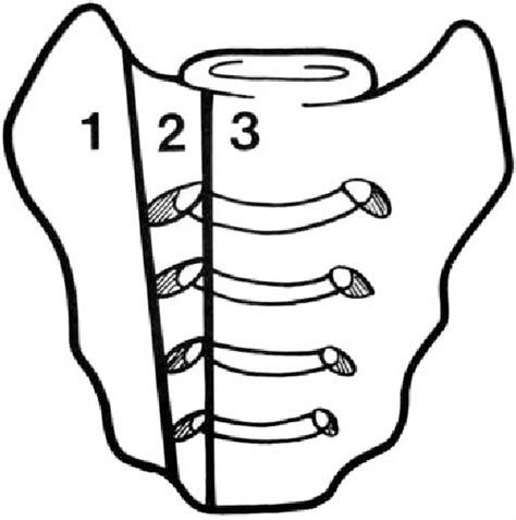 Figure 1 1 From Fracture Classifications In Clinical Practice