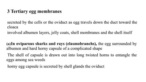 Amount And Distribution Of Yolk And Types Of Egg Pptx
