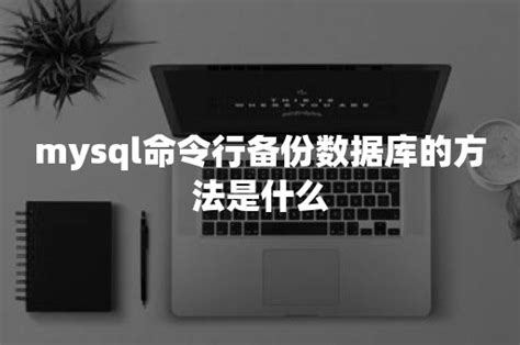 Mysql命令行备份数据库的方法是什么 Pingcap 平凯星辰