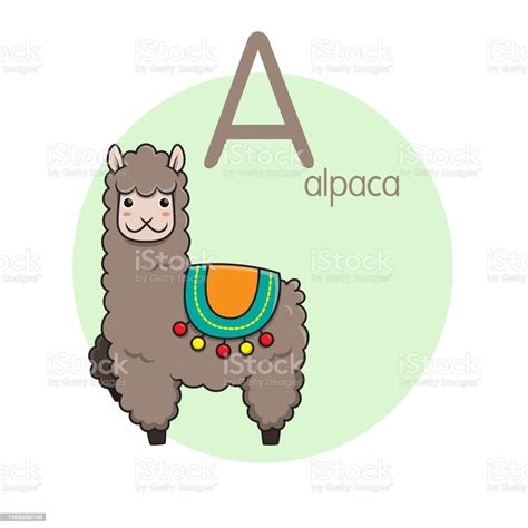 알파벳 문자 와 알파카의 벡터 그림 A 어퍼 케이스 또는 어린이 학습 연습 Abc에 대 한 대 문자 라마에 대한 스톡 벡터 아트