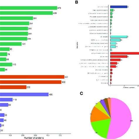 Deps Enrichment Analysis Go Enrichment Up Regulated Deps Enrichmen