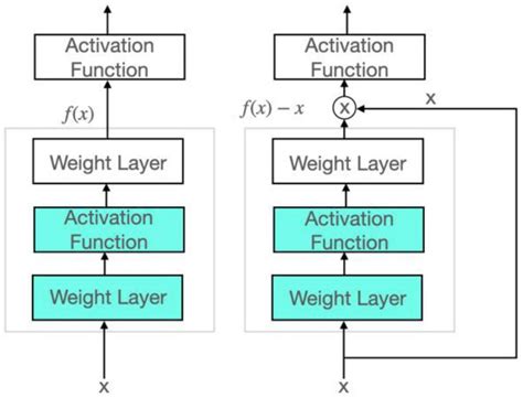 一种基于resnet50的海洋生物分类识别方法